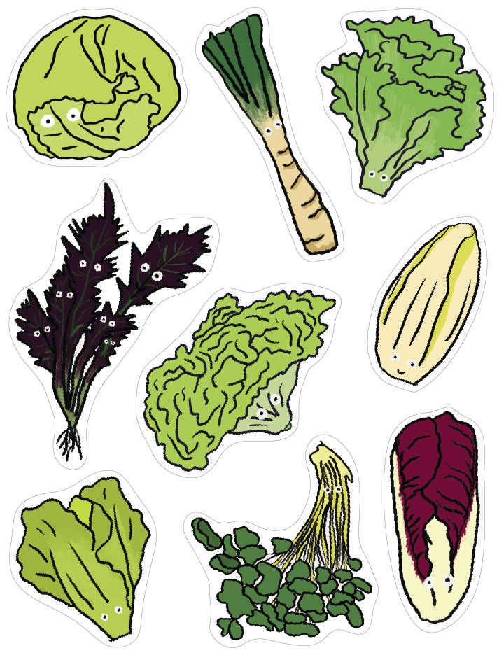 Lettuce Friends Sticker Sheet – Em Hatton